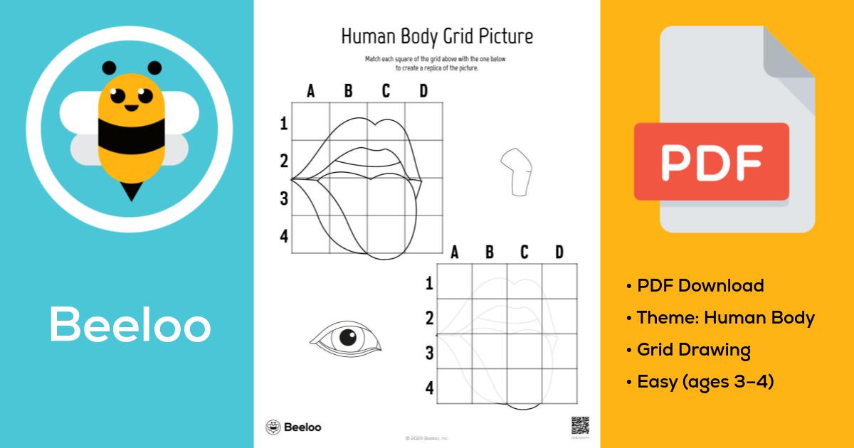 Human Body Grid Picture • Beeloo Printable Crafts and Activities for Kids
