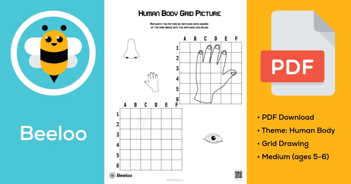 Human Body Grid Picture • Beeloo Printable Crafts and Activities for Kids