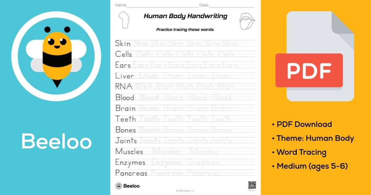 Human Body Handwriting • Beeloo Printable Crafts and Activities for Kids