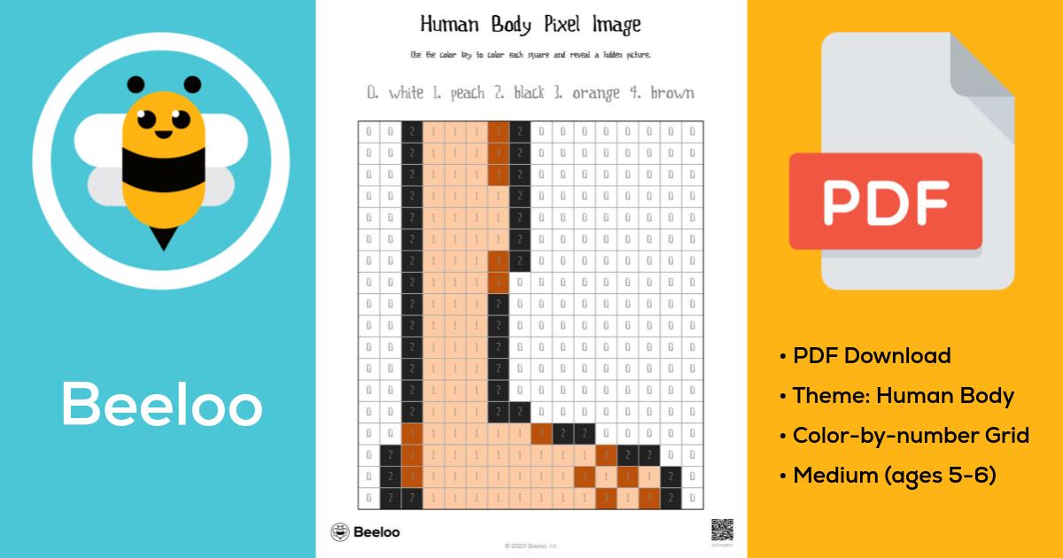 Human Body Pixel Image • Beeloo Printable Crafts and Activities for Kids