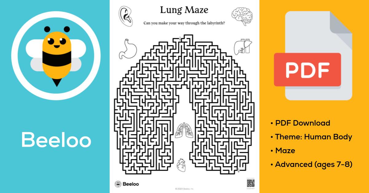 Lung Maze • Beeloo Printable Crafts and Activities for Kids
